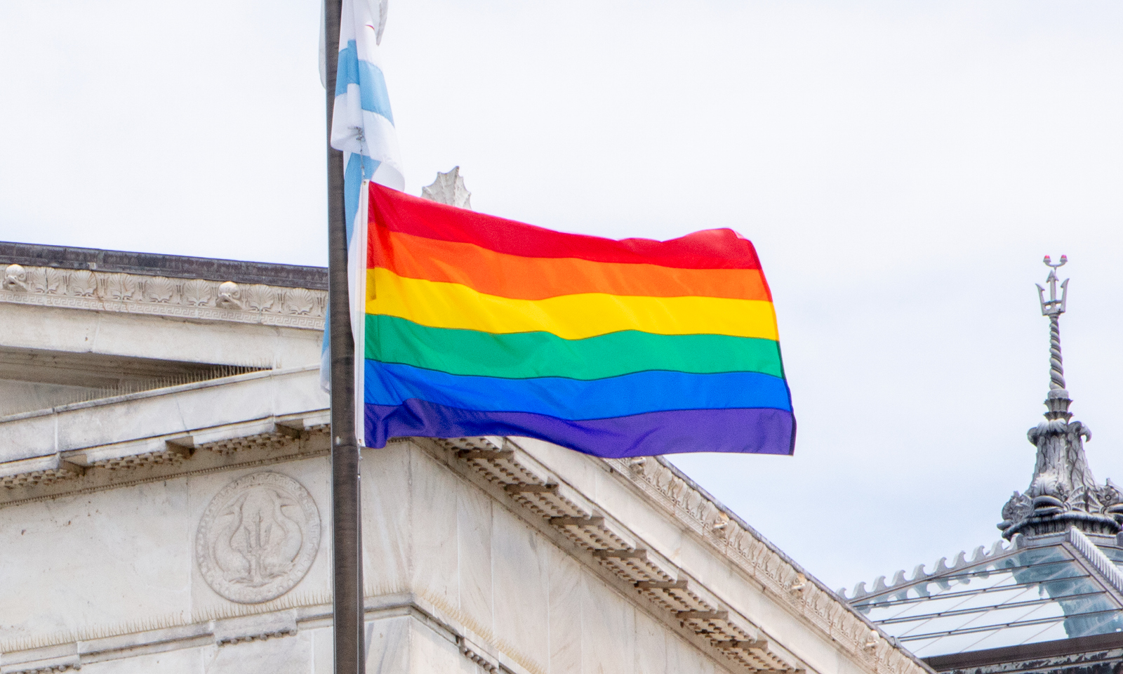 Experience the Rainbow: Vibrant Animals for Pride Month | Shedd Aquarium