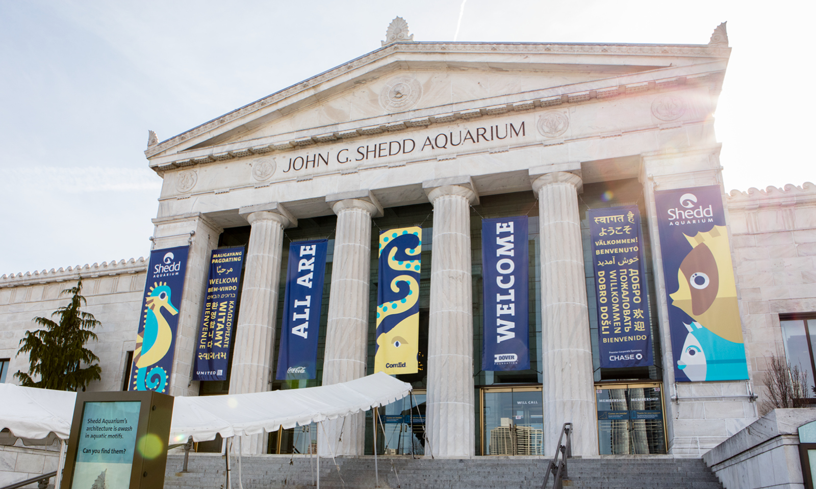 Four New Members Elected to Shedd Aquarium Board of Trustees | Shedd ...
