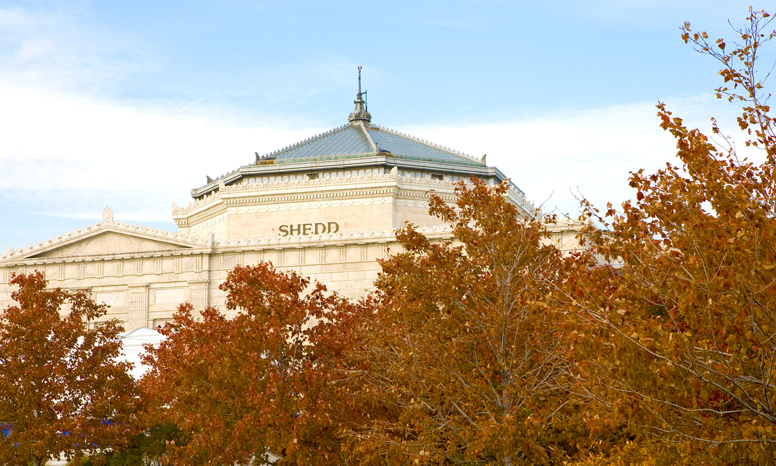 Fall Beneath the Waves: Shedd Aquarium Shares Schedule of Autumn Events ...