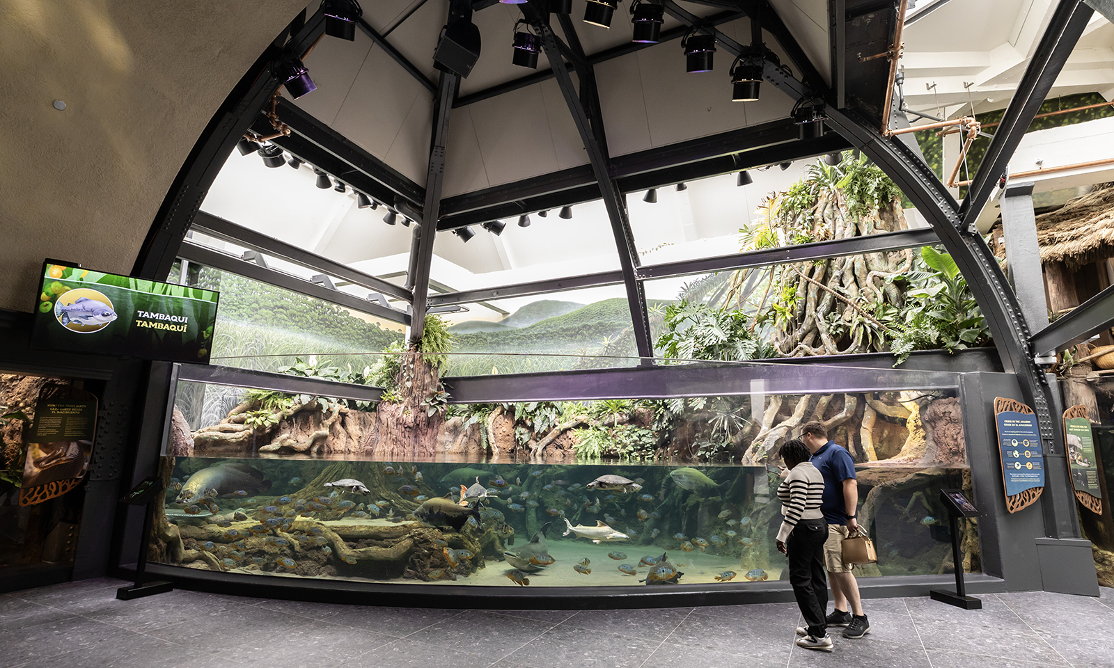 Amazon Rising Returns to Shedd Aquarium, Sparking a New Era for ...