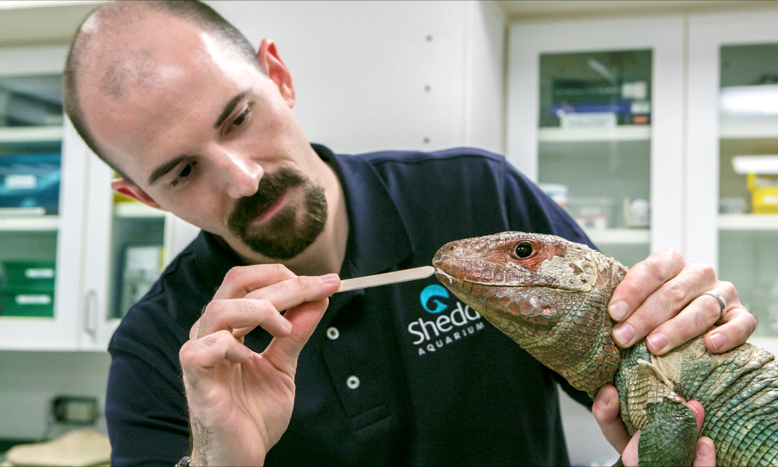 Animal Experts | Shedd Aquarium