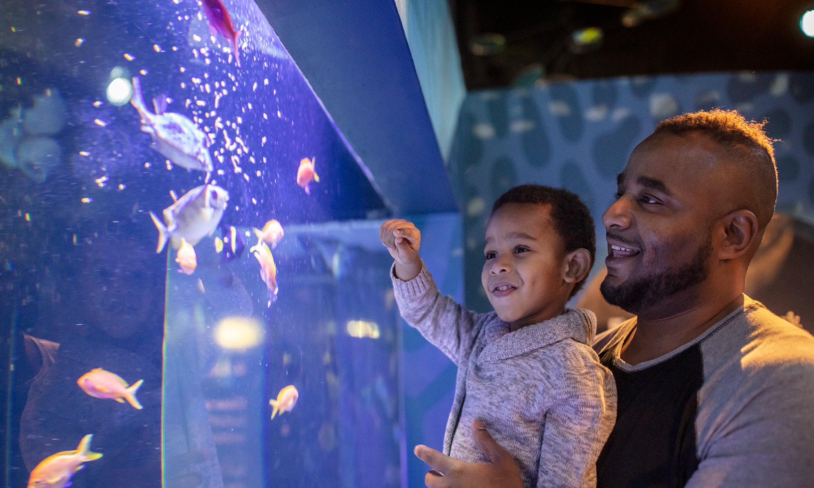 Corporate Family Days | Shedd Aquarium