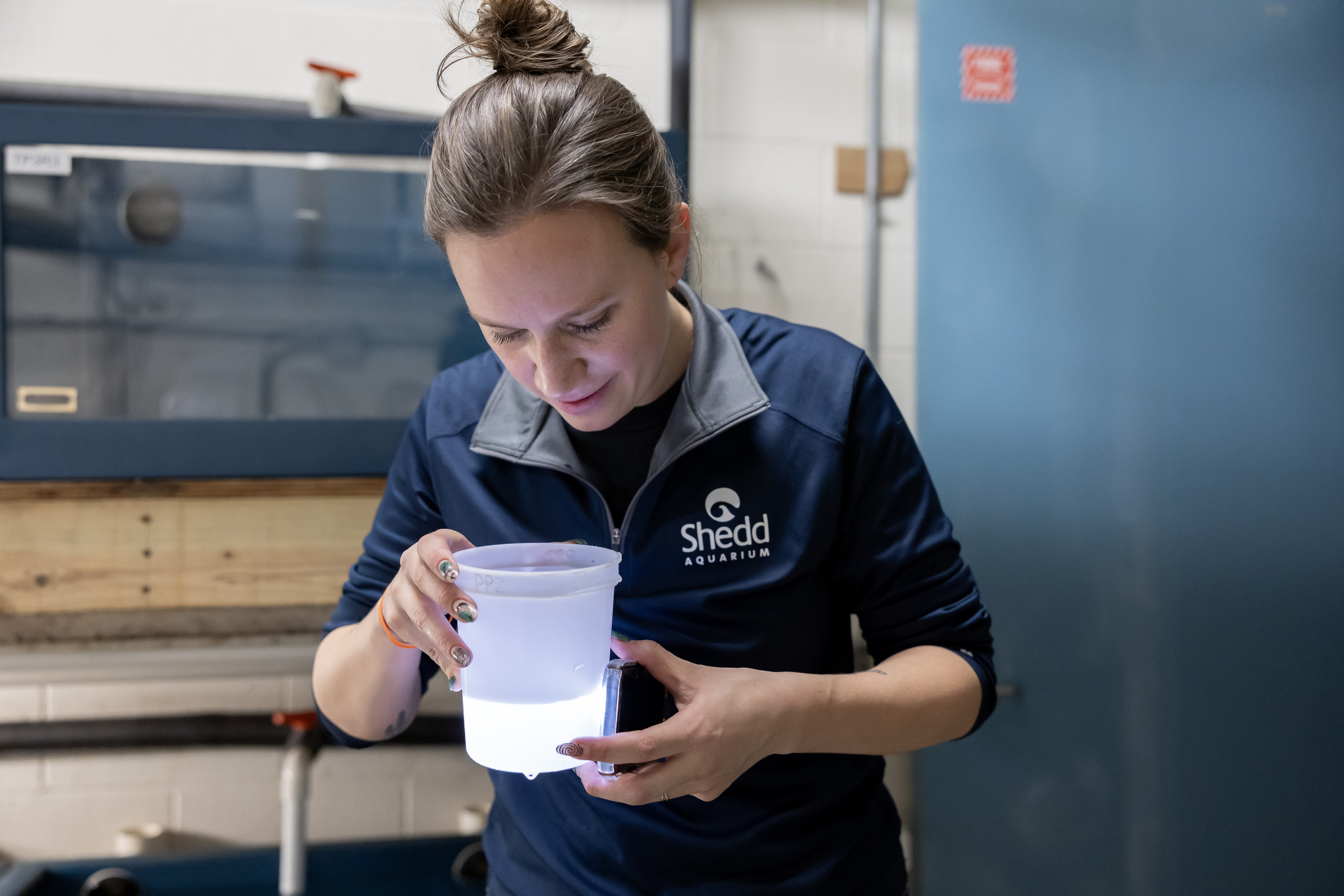 Shedd Aquarium Joins AZA SAFE Program and Raises Critically Endangered ...