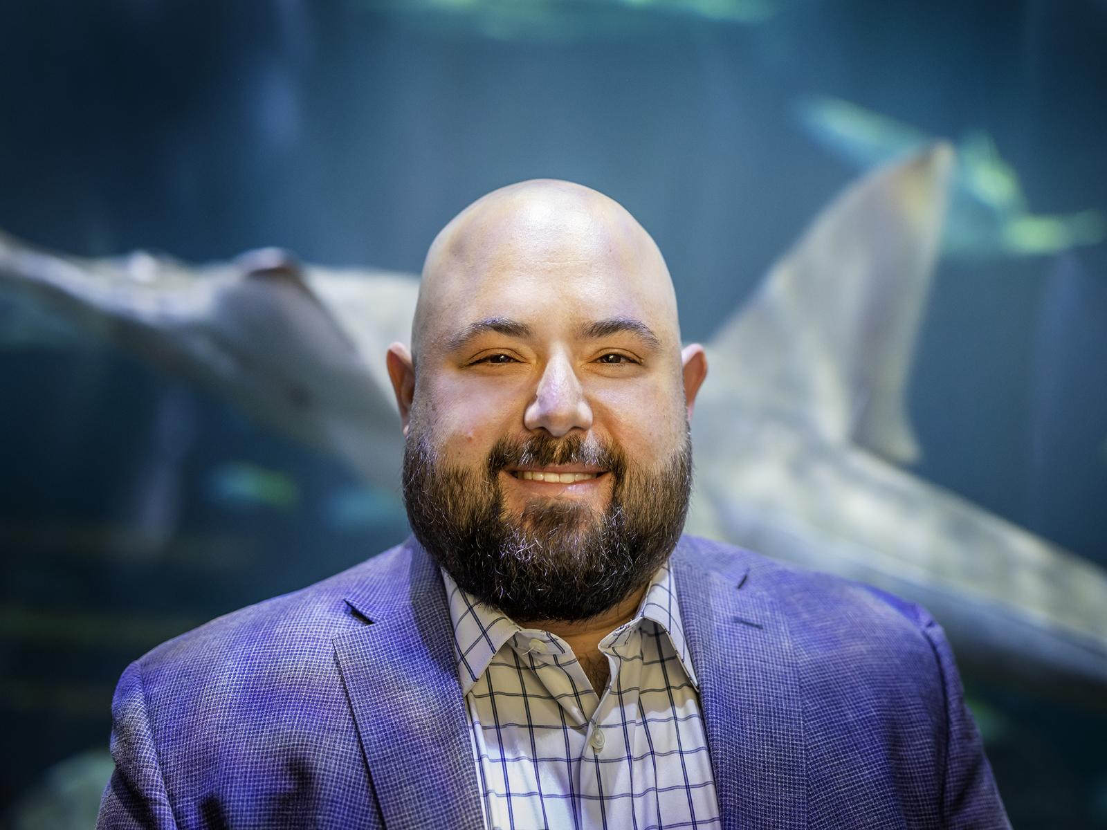 Shedd Aquarium Names Brian Gill Senior Director of Government Affairs ...