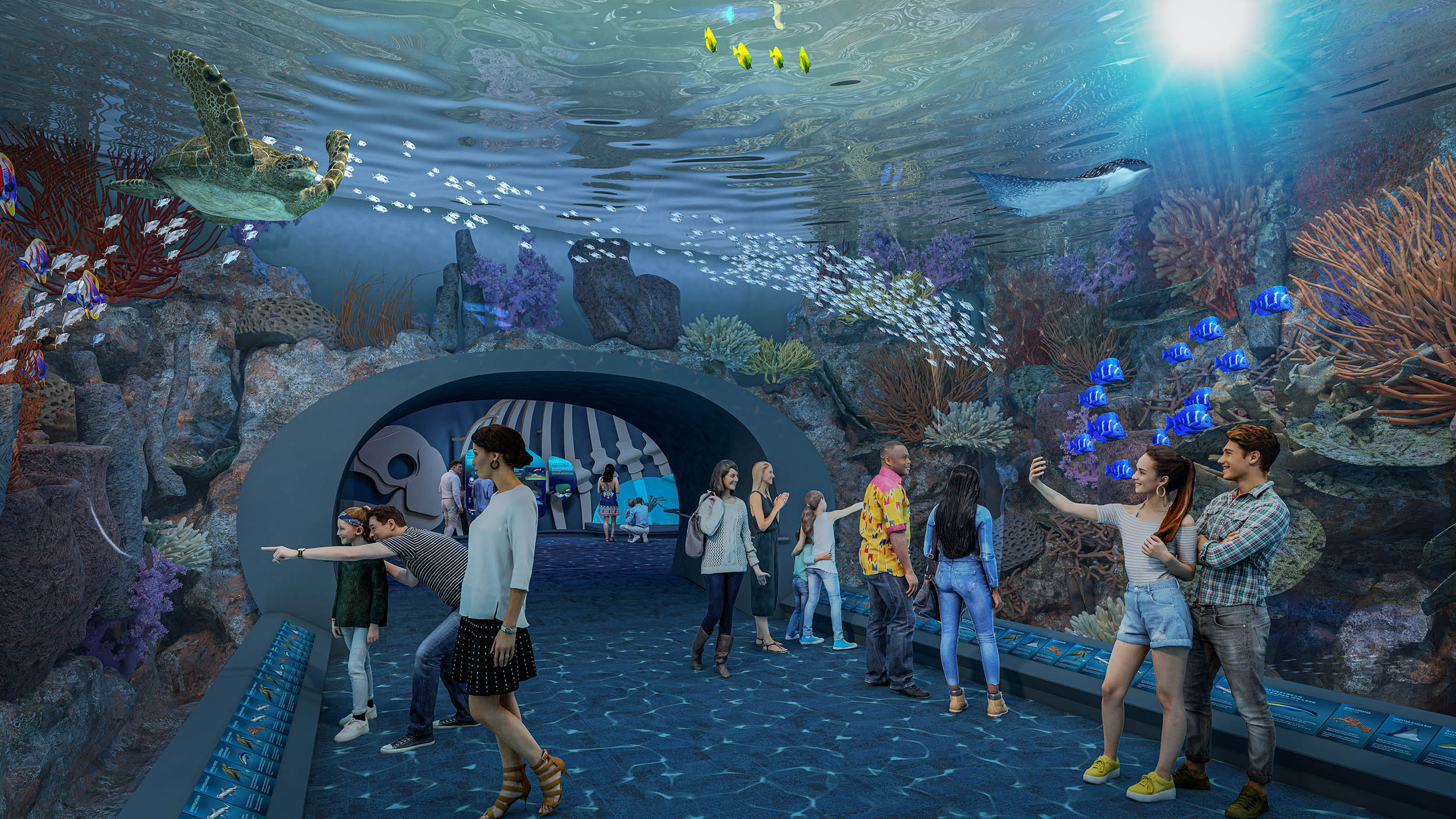 Evolving Soon | Shedd Aquarium