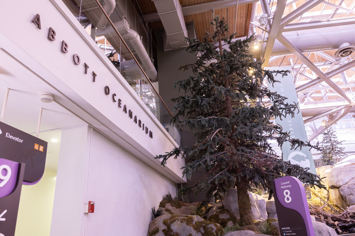 Abbott Expands Longstanding Partnership with Shedd Aquarium through $10 ...