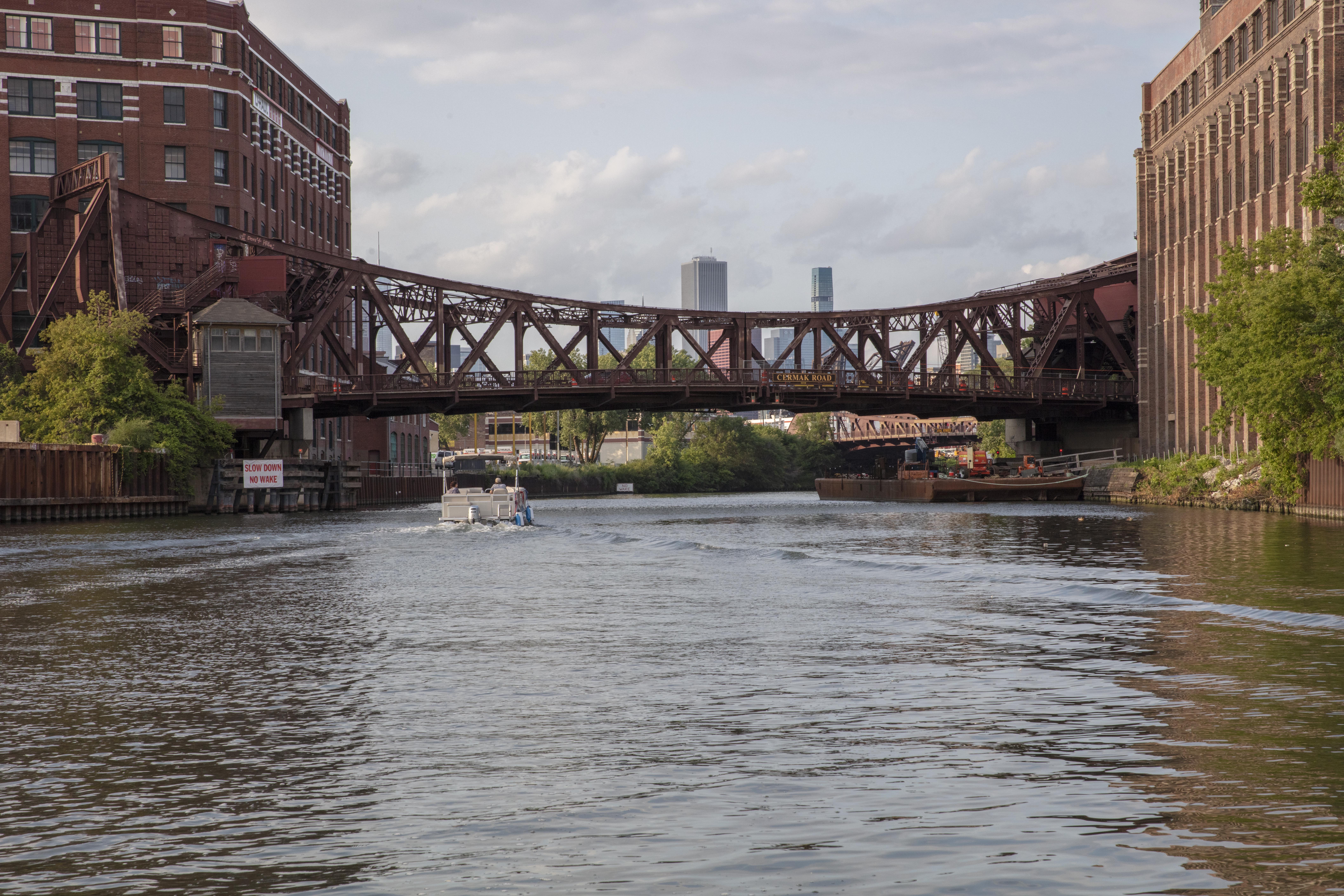 Study Reveals Impact of Sewage Overflows on Chicago River Ecosystem ...